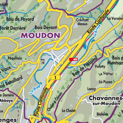 Moudon - Stadtpläne und Landkarten
